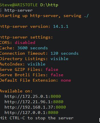 Setting Up A Local Server With Node SQLServerCentral