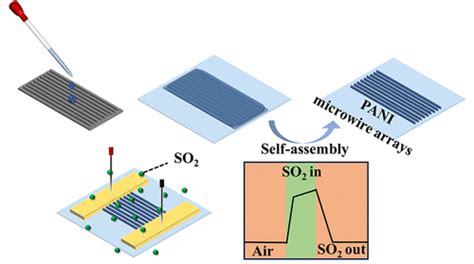 Conductive Polyaniline Based Microwire Arrays For So2 Gas Detection