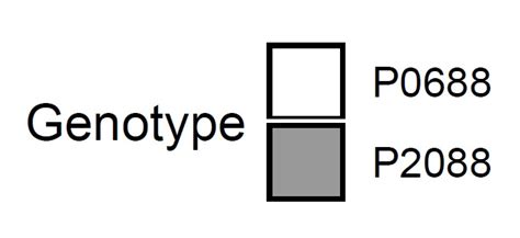 Ggplot2 R Ggplot 2 Legend Border Issue Stack Overflow