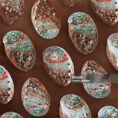 갈색 배경에 전복 조개 껍질의 반복 패턴 흙빛이 도는 갈색 녹색 무지개 빛깔의 파란색 유기적 질감과 진주 빛의 반짝이는 천연 껍질 평면도 여름 미적 전망 전복에 대한 스톡