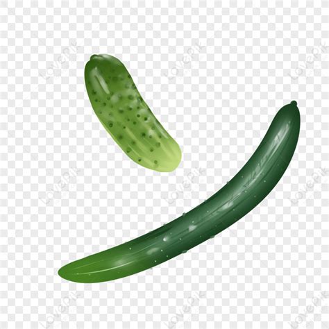 오이 Png 일러스트 무료 다운로드 Lovepik