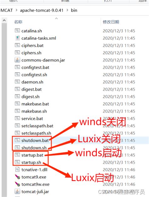 Tomcat详解tomcat访问地址 Csdn博客