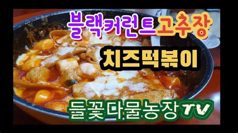 블랙커런트농장 블랙커런트고추장으로 치즈떡볶이를 만들어요 Youtube