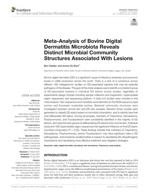 Meta Analysis Of Bovine Digital Dermatitis Microbiota Reveals Distinct