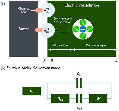 A Schematic Illustration Of The Edl With Chemisorption Note That The Download Scientific