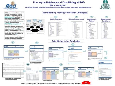 Phenotype Database And Data Mining At Rgd Ppt
