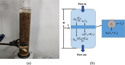 Schematic Diagram Of Mass Transfer In A Percolation Column A Diagram