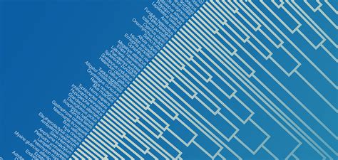 Evolutionary Biologist David Hillis To Speak On Genomic Sequencing Of “tree Of Life