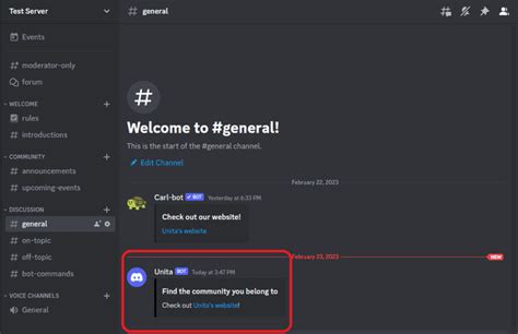 How To Add A Discord Hyperlink 3 Ways