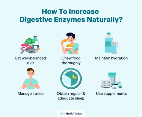 Digestive Enzymes For Protein Types Side Effects And More Healthtoday