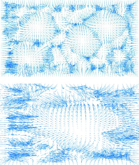 Gradient Field Direction Projection Download Scientific Diagram
