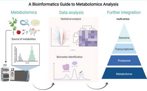 generic metabolomics workflow mass spectrometry data