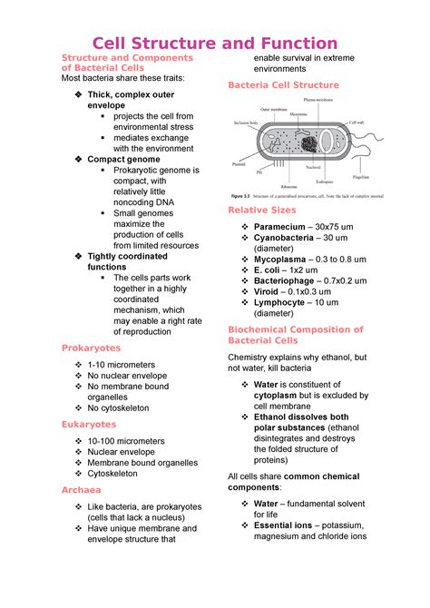 Bacterial Cell Structure And Function