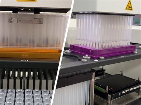 Automated Plasmid Purification Magnetic Beads Analytik Jena