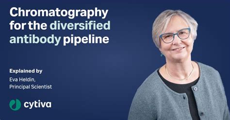 Chromatography Antibodies Rajesh V