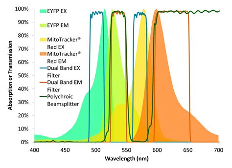 Next Generation Thin Film Optical Filters For Life Sciences Alluxa Optical Filters And Thin
