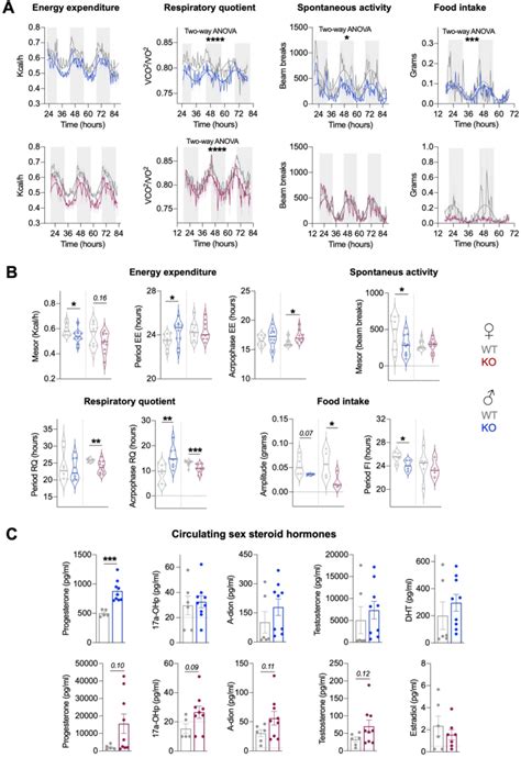 Il 6 Decodes Sex And Diet Dependent Circadian And Metabolic Rhythms Pmc