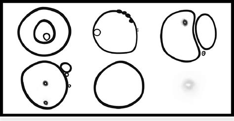 Progressive Coalescence Toward A Single Bubble Which Once Gone Left Download Scientific