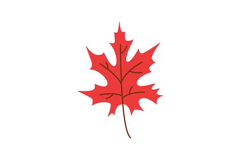 Red Maple Leaf Cartoon Illustration Yel Graphic By Pch Vector · Creative Fabrica