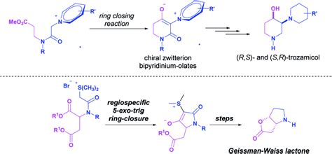 Previous Reports In The Synthesis And Utility Of Chiral Cyclic Download Scientific Diagram
