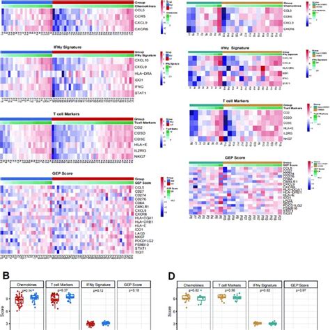 The Effect Of Braf Mutation On Different Immune Related Signaling Download Scientific Diagram