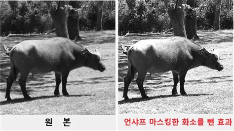 엣지 샤프닝 언샤프 마스킹 빼기 기법 네이버 블로그