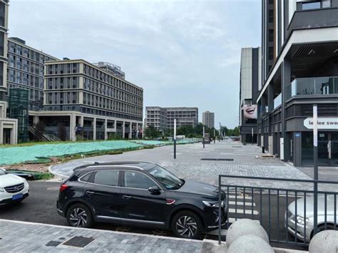 陈家桥街道永泰路89号龙湖魔方与金科13街区之间道路杂草丛生严重影响周边居民的生活出行及商家正常经营 重庆网络问政平台
