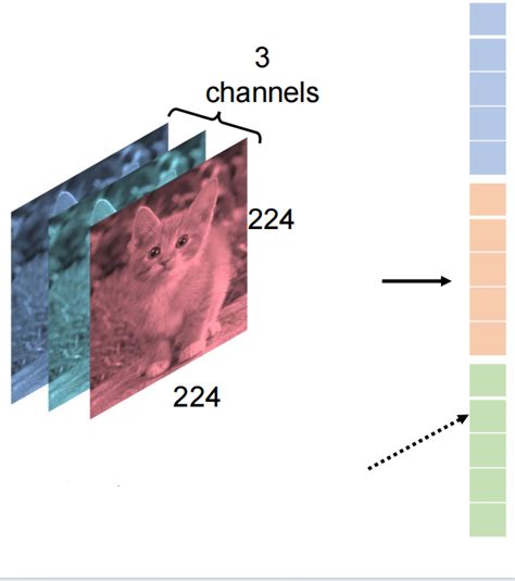 深度学习05——图像分类深度学习 图像分类 Csdn博客