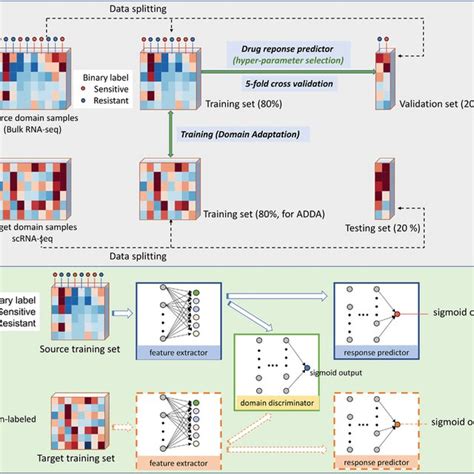 Architecture Of Scad Model A Data Splitting Of The Source Domain And