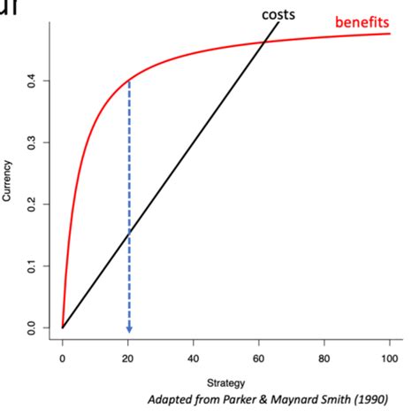 Optimality And Game Theory Flashcards Quizlet