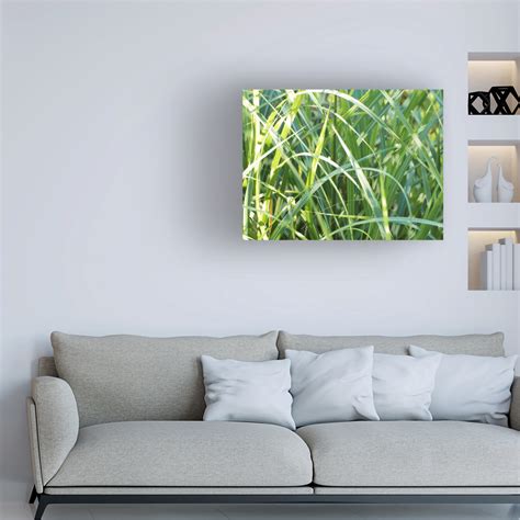 Latitude Run® Leslie Montgomery Zebra Grass Tangled Canvas Art Wayfair Canada