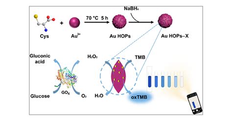 Peroxidase Mimicking Hierarchically Organized Gold Particles For