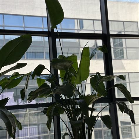 新闻中心 岳一科技 高精度 AI人工智能检测