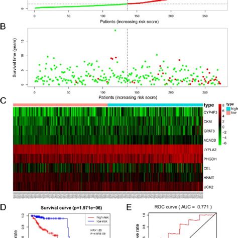 Prognostic Analysis Of The Model In The Tcga Training Cohort A The Download Scientific Diagram