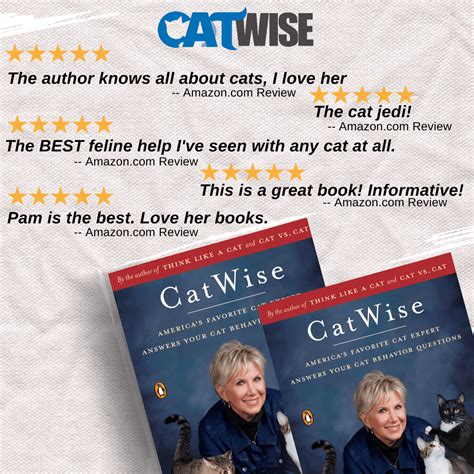 Caring For A Blind Cat