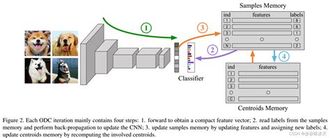 online deep clustering for unsupervised representation learning