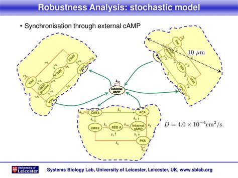 Ppt Overview Of Current Research Declan Bates Powerpoint Presentation Id4638282
