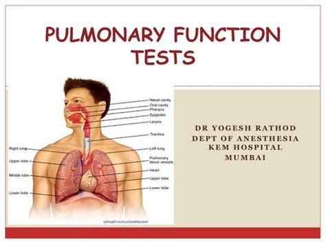 Bed Side Pulmonary Function Tests 7 Pptx