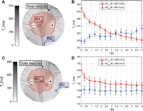 Evaluation Of T 2 Values In The Inner And Outer Medulla Of The Potato Download Scientific