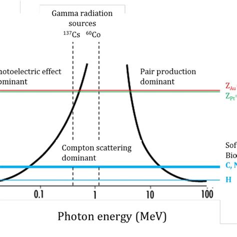 17 Processes Involved In The Interaction Of Photons With Matter As