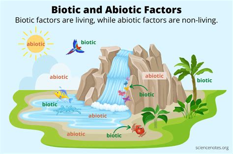 Biotic And Abiotic Factors In Ecology Learn Biology Nonliving