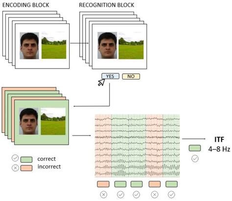 Determining The Individual Theta Frequency For Associative Memory Targeted Personalized
