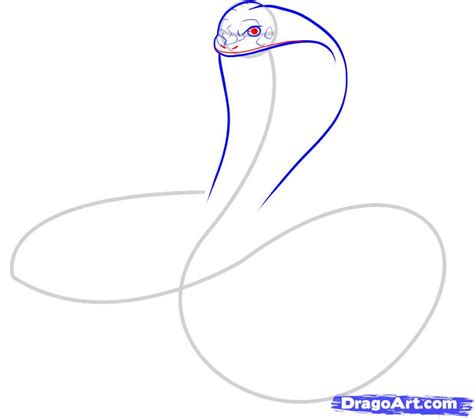Draw A Realistic King Cobra Step Free Clipart Clipart Library