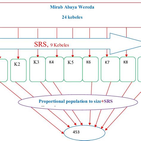 Shows Diagrammatic Presentation Of Sampling Procedure Download