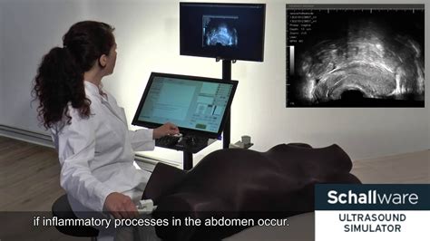 Schallware Ultrasound Simulator Transvaginal Examination Example YouTube