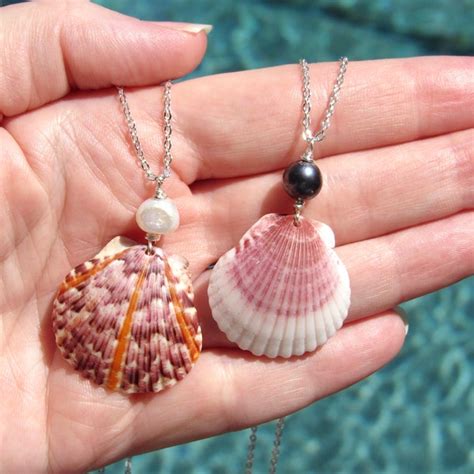 Calico Scallop Shell Etsy