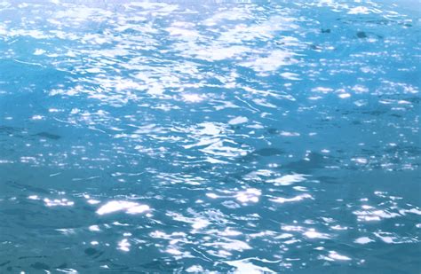 Csp 아름다운 물결 브러쉬