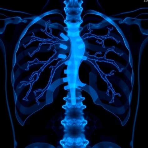 Uncommon Apds Case Diagnostic Challenges Revealed