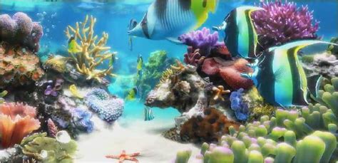 Sim Aquarium Acquario Virtuale Interattivo In 3d
