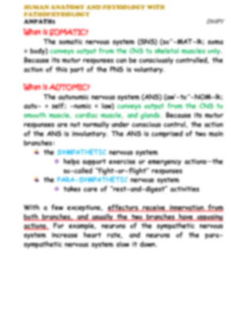 SOLUTION Overview On Nervous System Notes Studypool